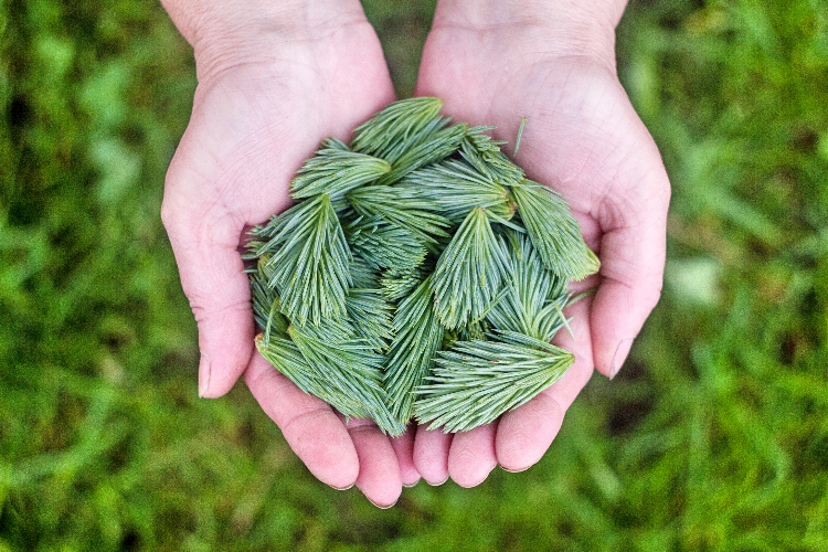 Everyday Gyaan The Importance of Philanthropy