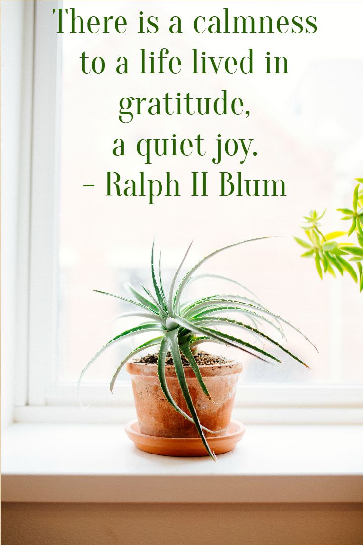 Everyday Gyaan The Quiet Joy Of Gratitude