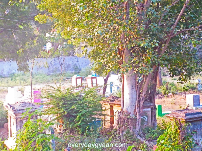 Everyday Gyaan When Enough Is Enough Mondaymusings