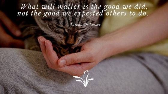 Everyday Gyaan The Good We Did #MondayMusings