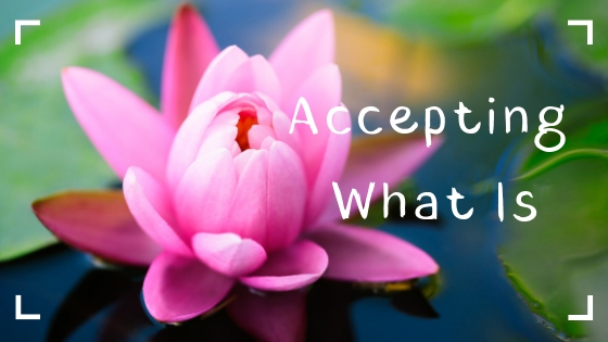 Everyday Gyaan Accepting What Is