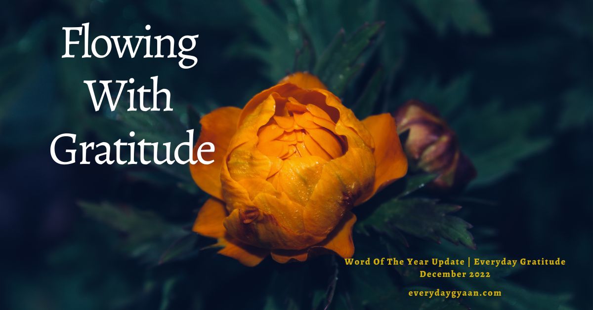 Everyday Gyaan Flowing With Gratitude