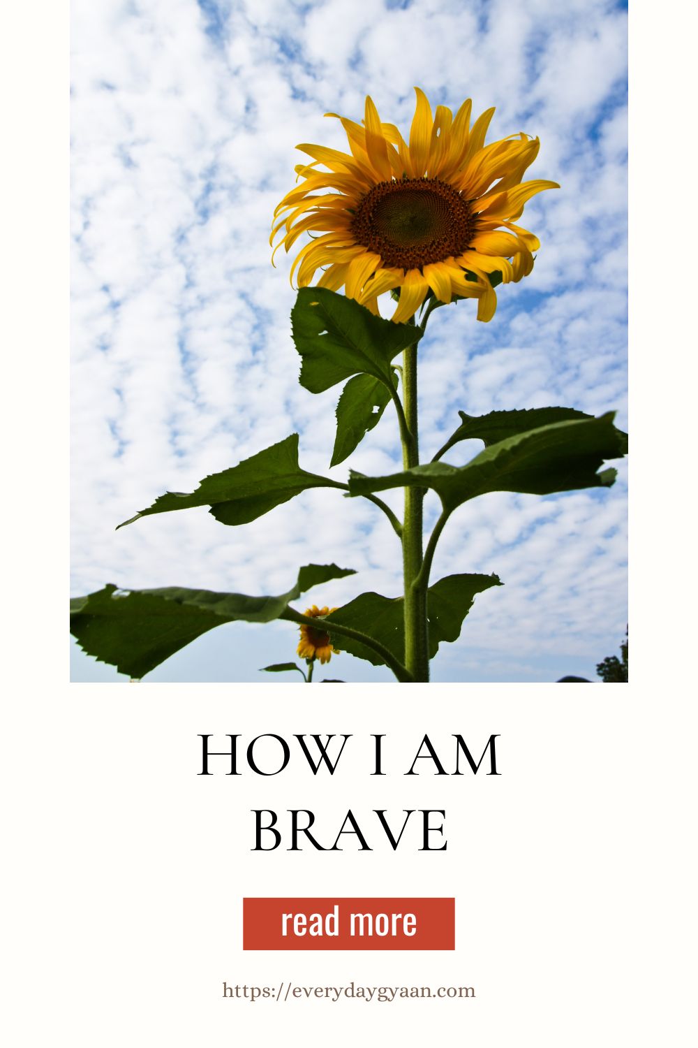 Everyday Gyaan How I Am Brave