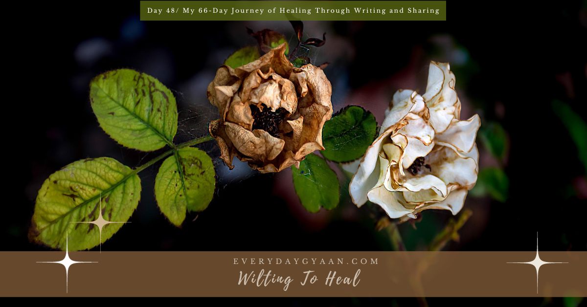 Everyday Gyaan Wilting To Heal