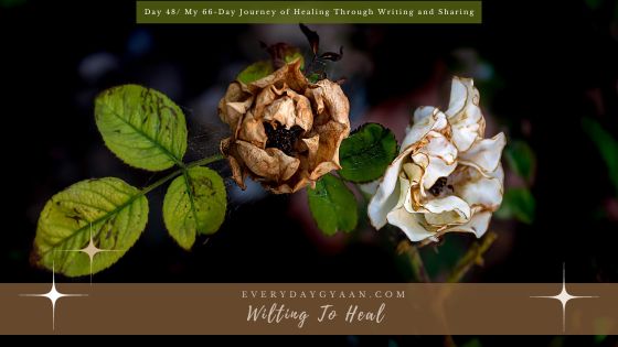 Wilting To Heal - Everyday Gyaan